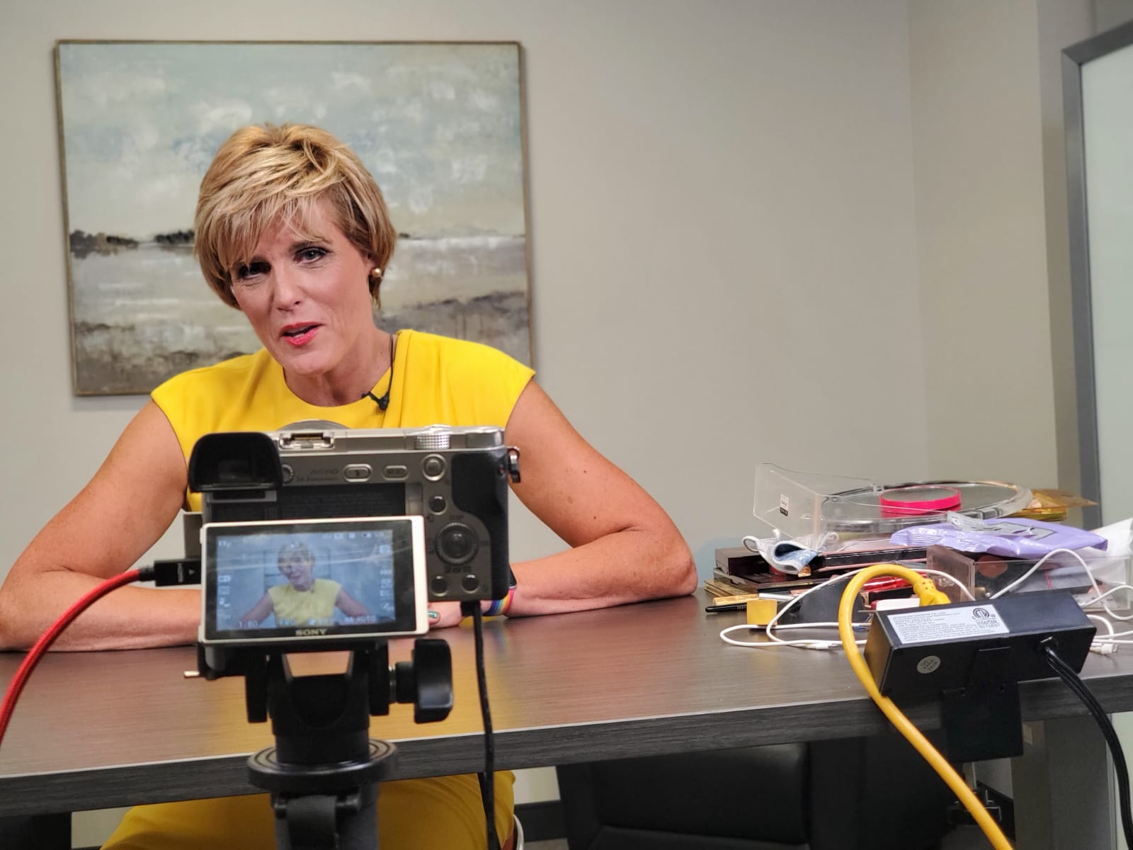 Virtual Presentation Options - Caroline Adams Miller